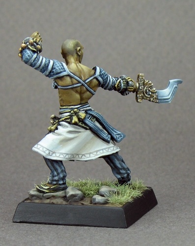 Pathfinder Reaper Miniatures