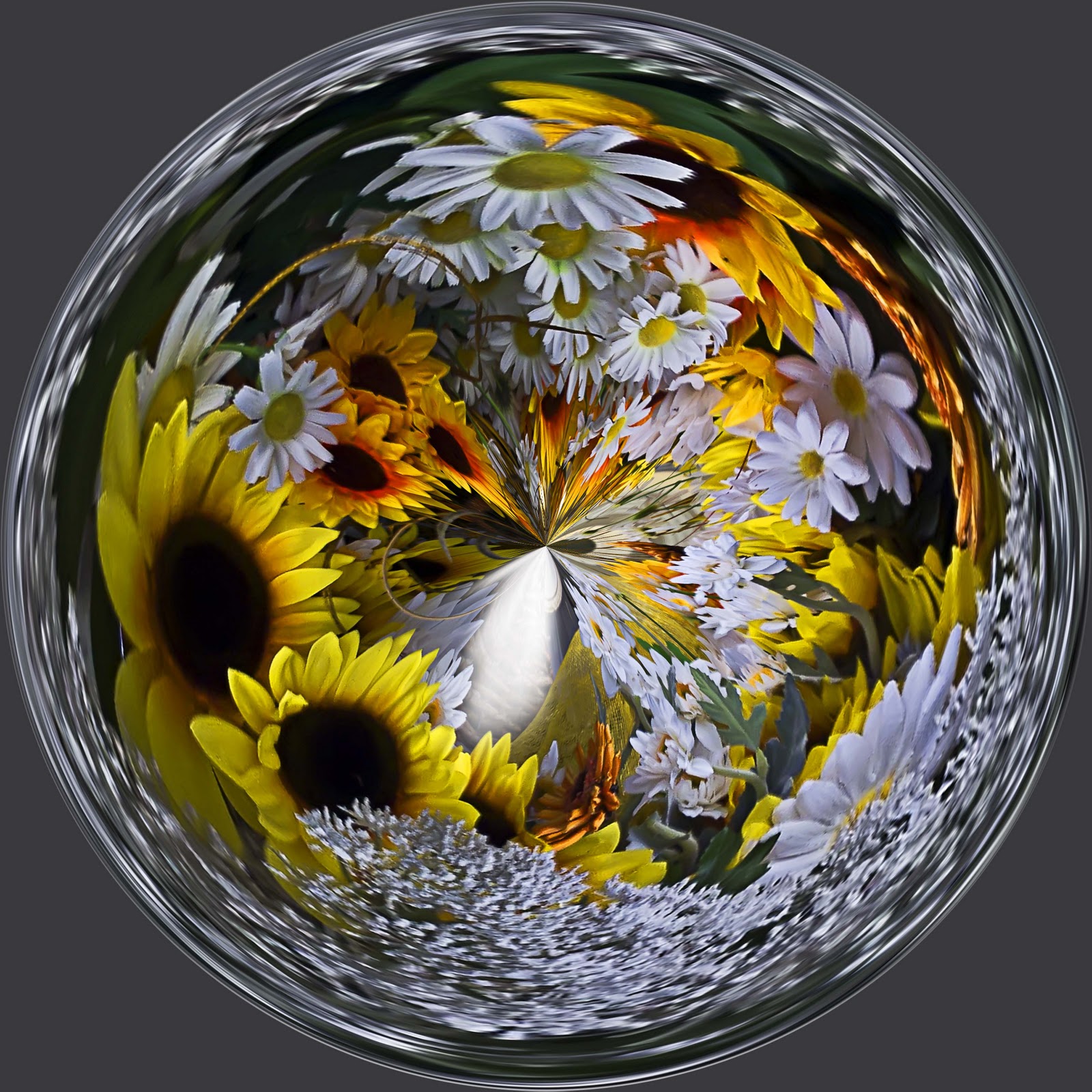 Gordon Maxwell Photography: Abstracts