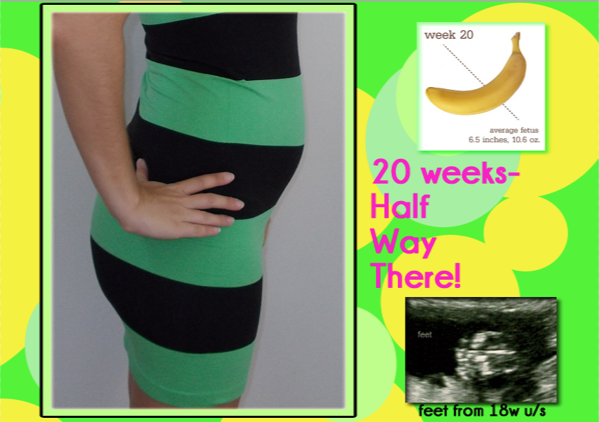 From Poppyseed to Watermelon!: Baby Bump- First 20 Weeks
