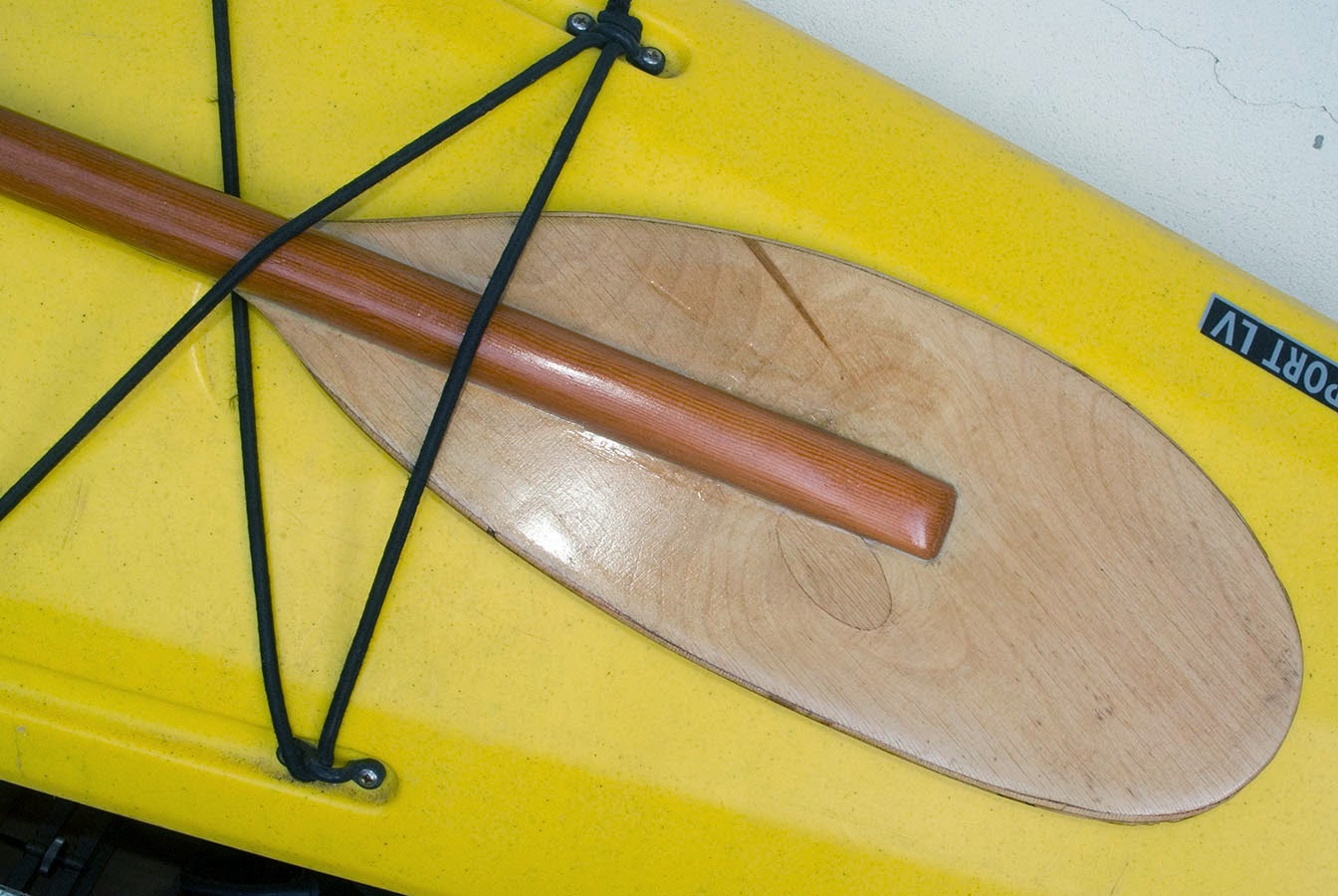 Ted's Blog: Homemade paddles, another camera stand, & whatever
