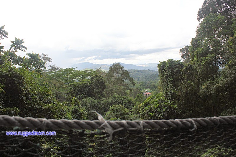 Canopy Walkway at Poring Hot Springs