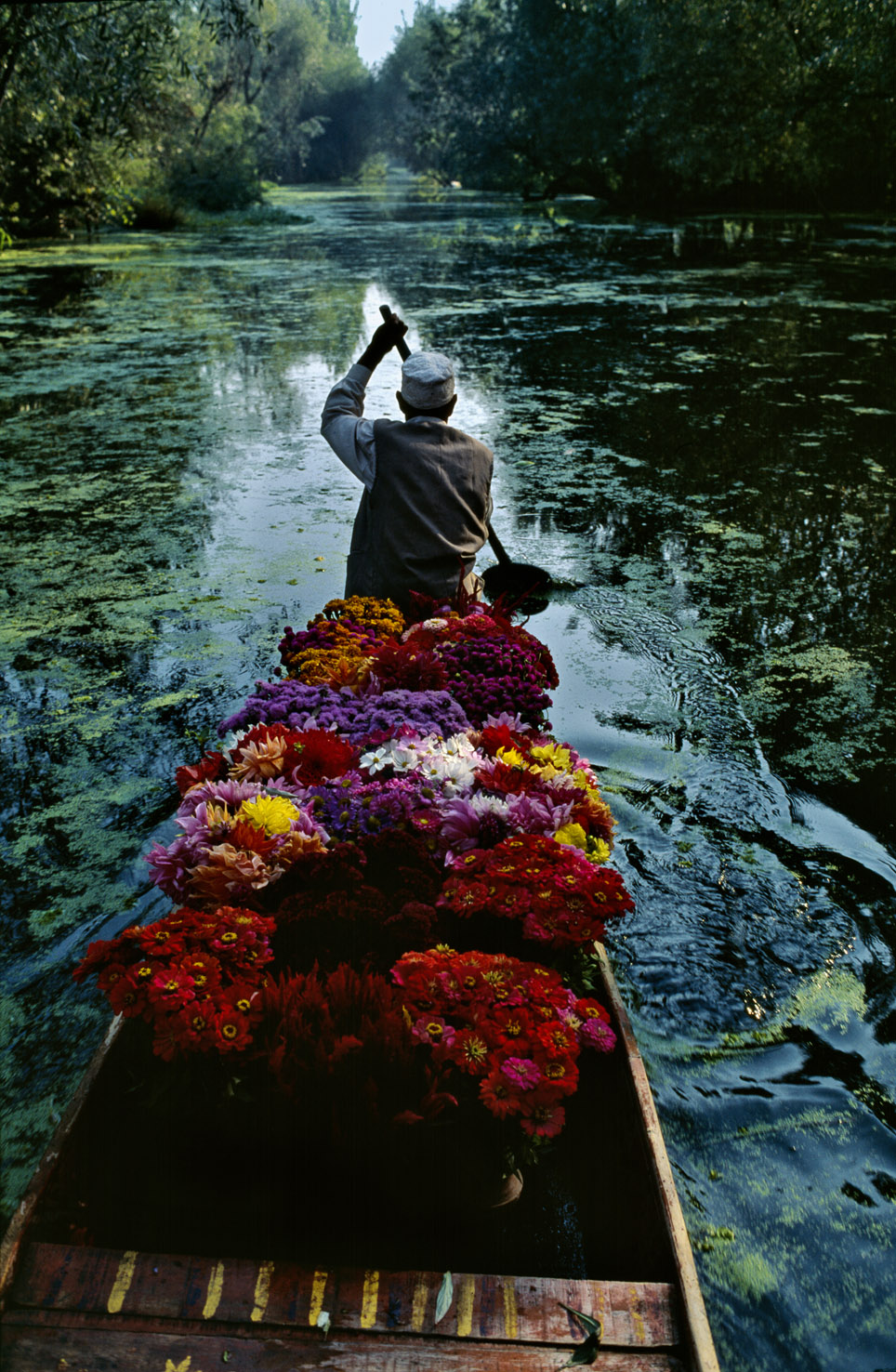 Macário Campos: Steve McCurry – Alma Revelada