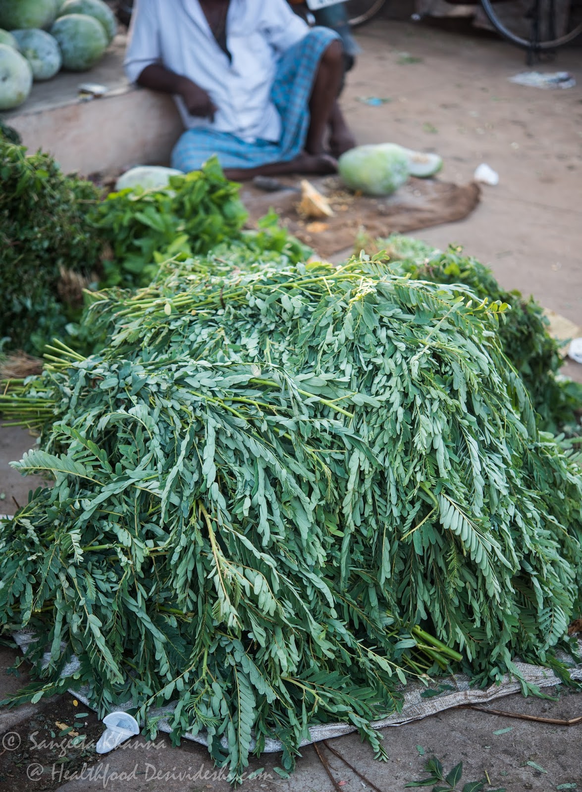 green (agasti leaves) kulcha bread and a wrap stuffed with egg avocado ...