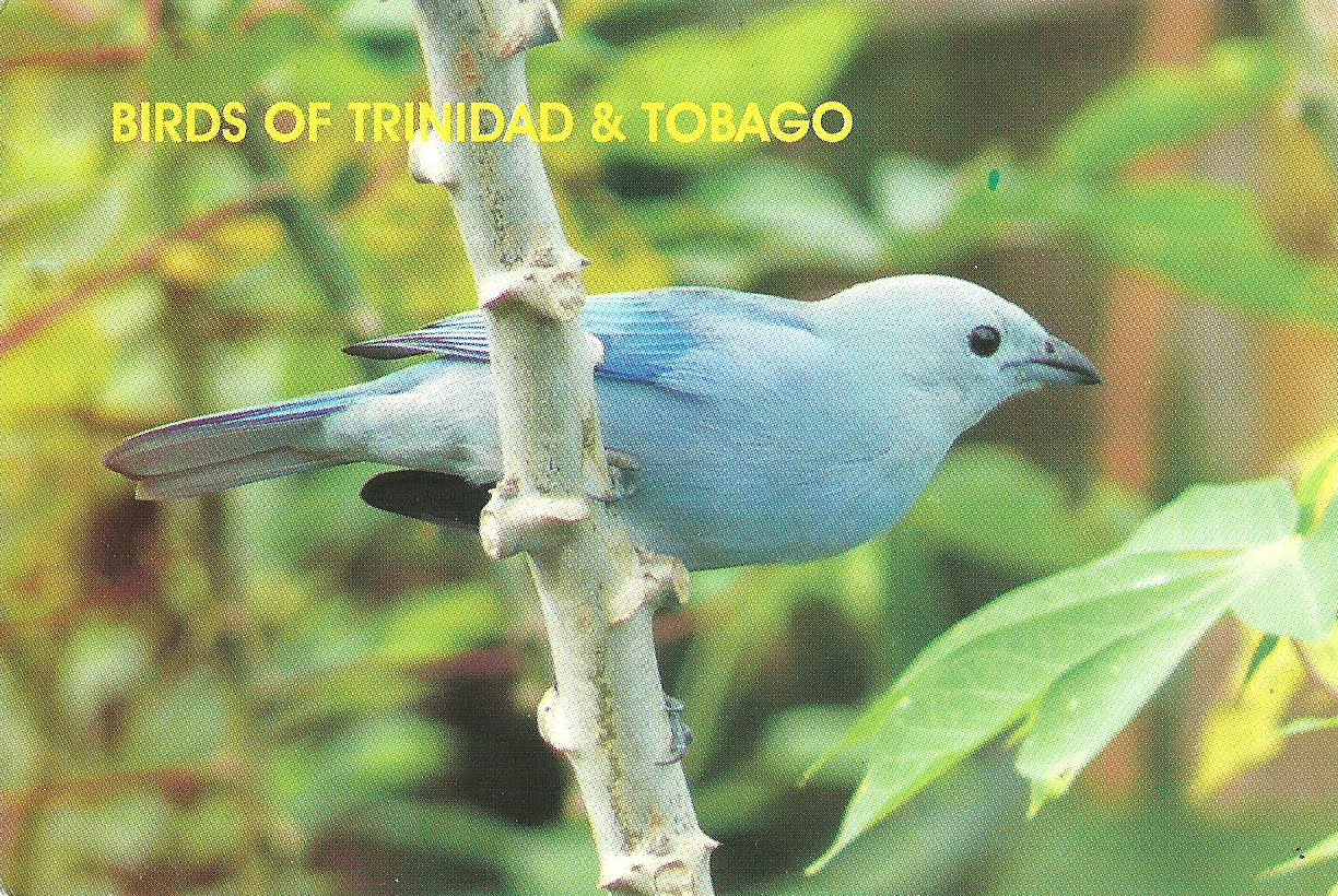 Collecting postcards from all around the world: Birds of Trinidad & Tobago
