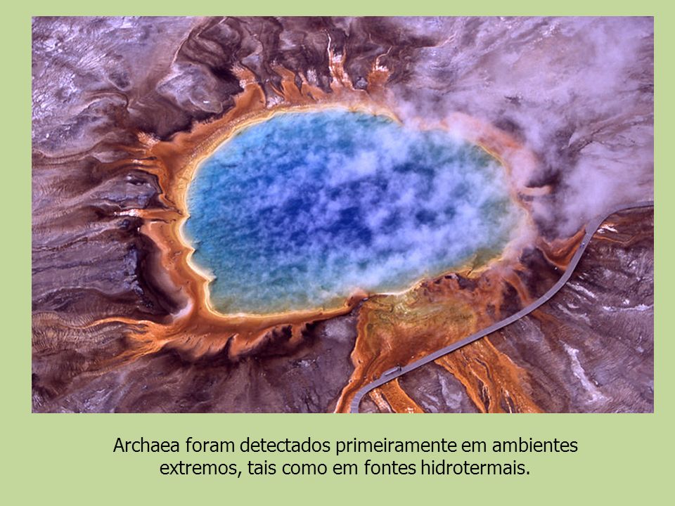 Arqueobactérias. | Biologia: A ciência da vida