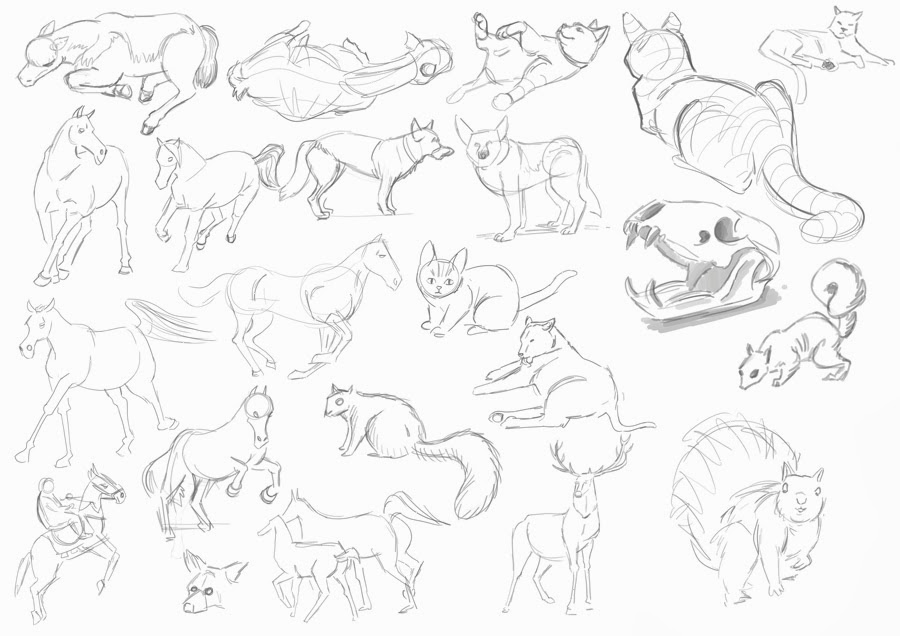 Learning drawing principles: animals