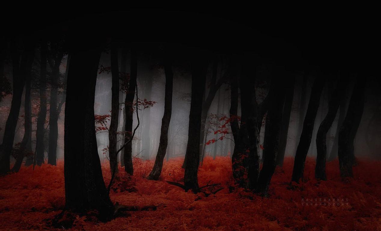 Something wicKED this way comes....: Dark Fall