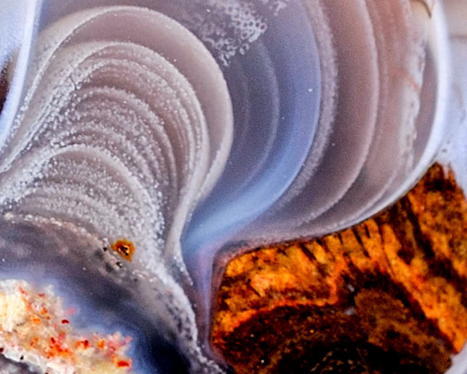 The Agatelady: Adventures and Events: More Close Up Agate Photos