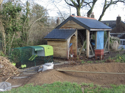 Building the "Shed": Guttering and drainage