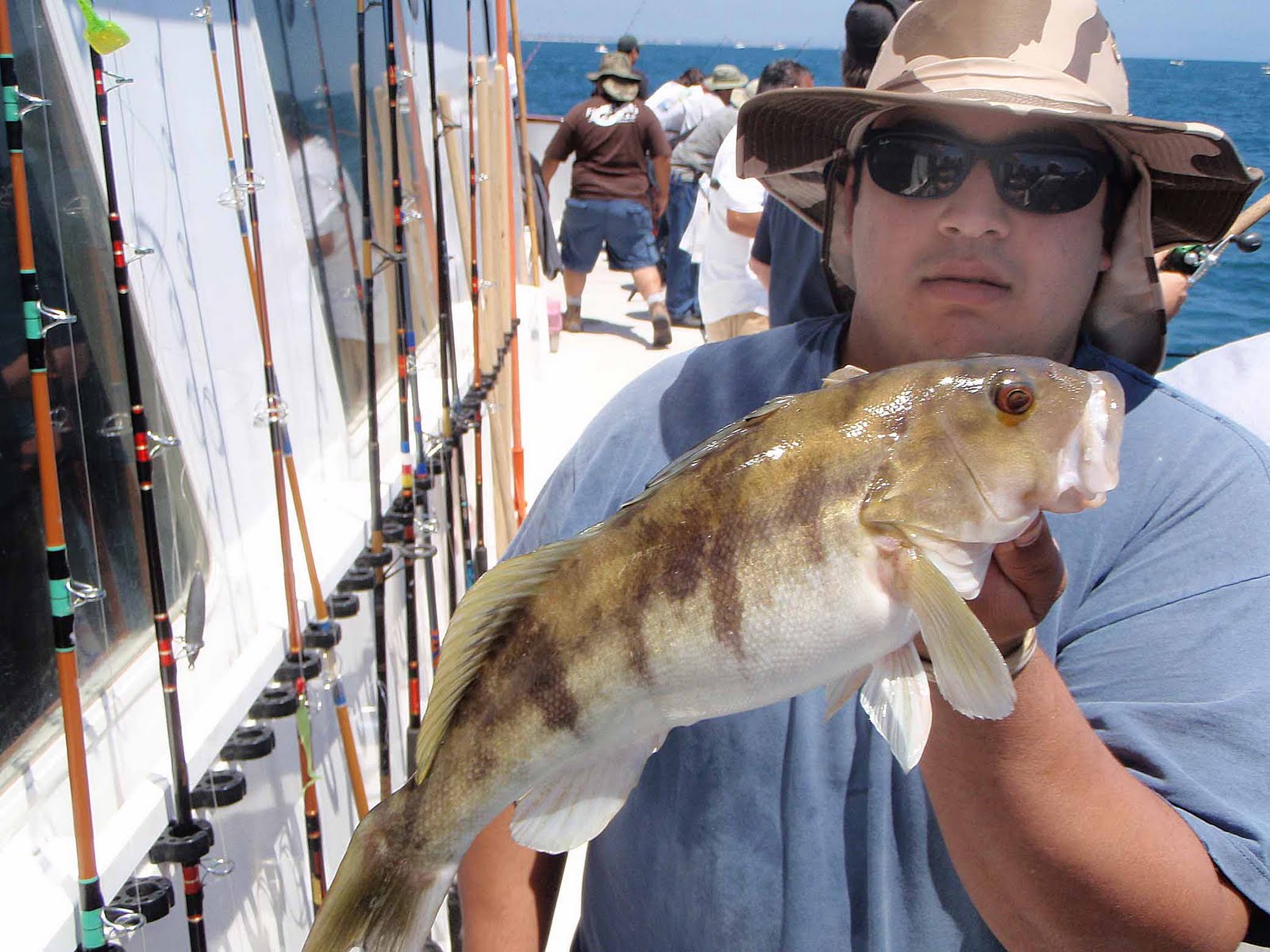 Dan's Journal: Native Son Recap