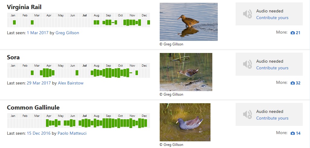 eBird: Illustrated checklists - Greg in San Diego