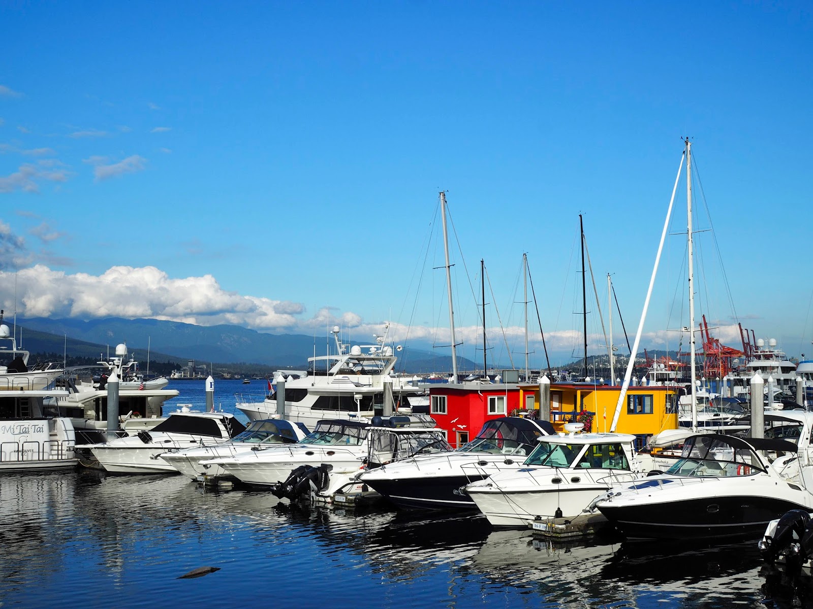 Little Hiccups: Seattle & Canada Trip