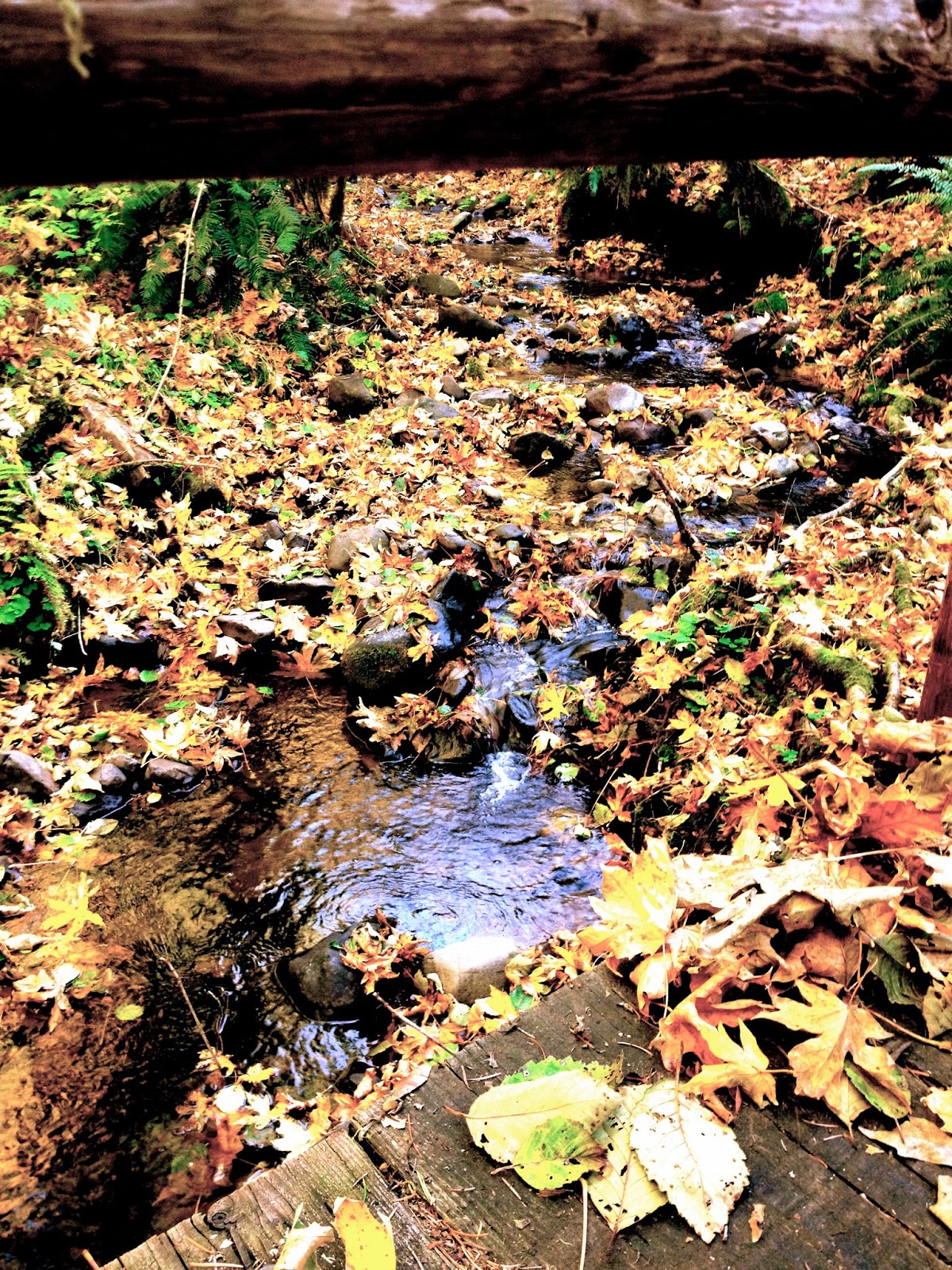 OmMama and KraftyKatina