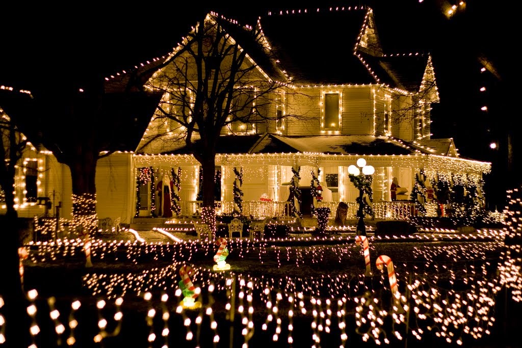 ME's Zoo - Mes Zoo - World of Zoos