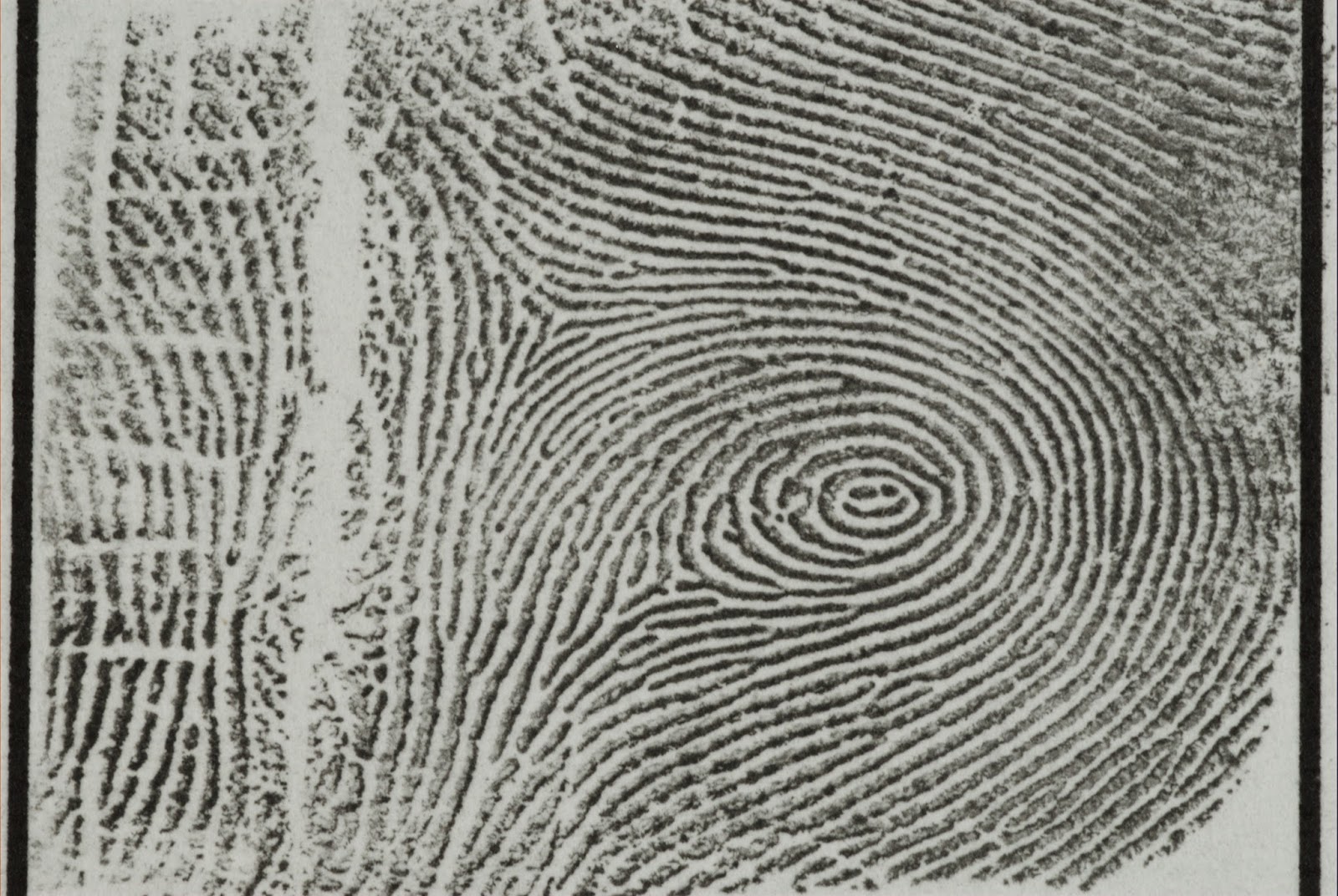 Olive Tree Genealogy Blog: FIngerprints From The Past