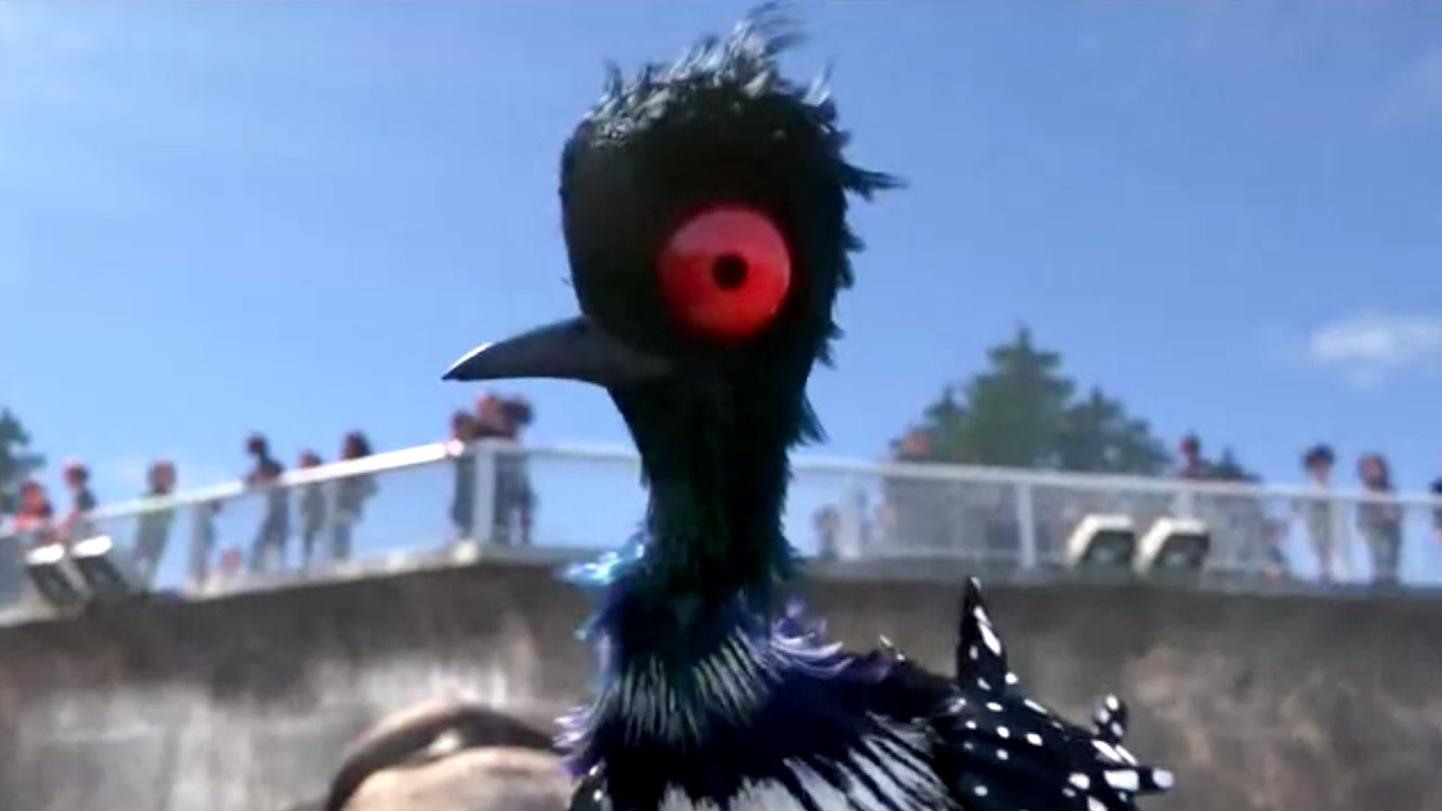 Cine y ... ¡acción!: Buscando a Dory (Finding Dory)