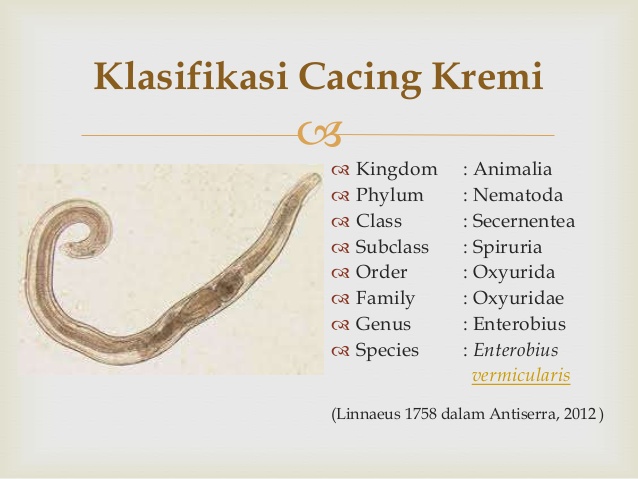 Analis: MACAM-MACAM TELUR CACING PARASIT