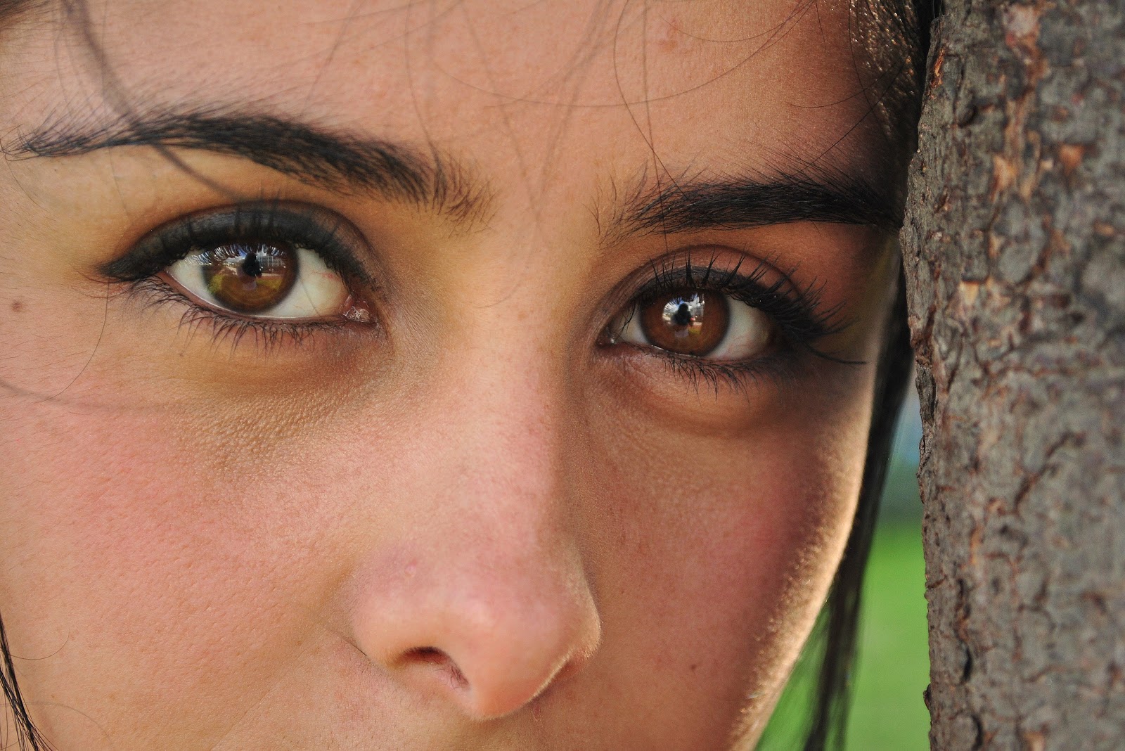 La fotografía : PRIMERISIMO PRIMER PLANO.