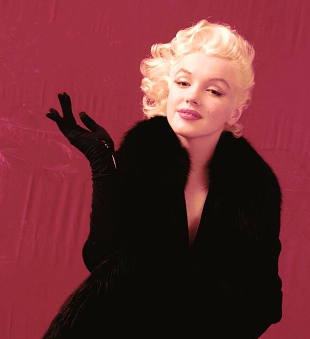 Literatura: Crônica - Norma Jean