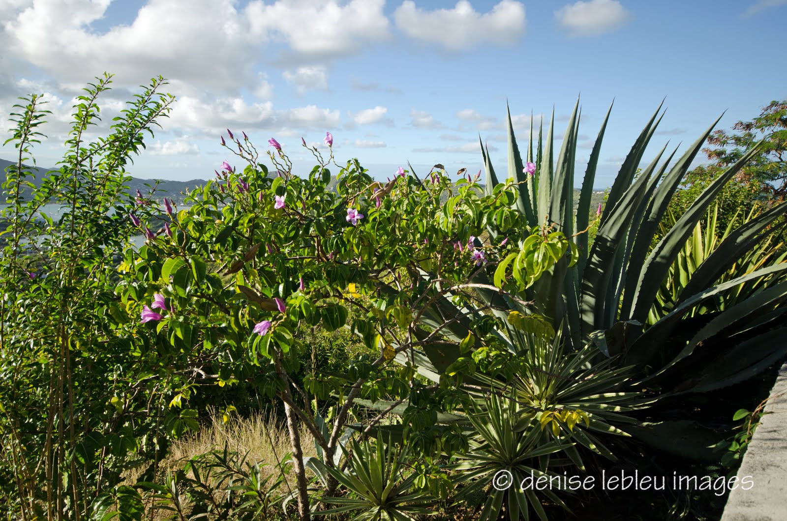 LeBleu Pack: Beautiful Antigua - By Land and By Sea