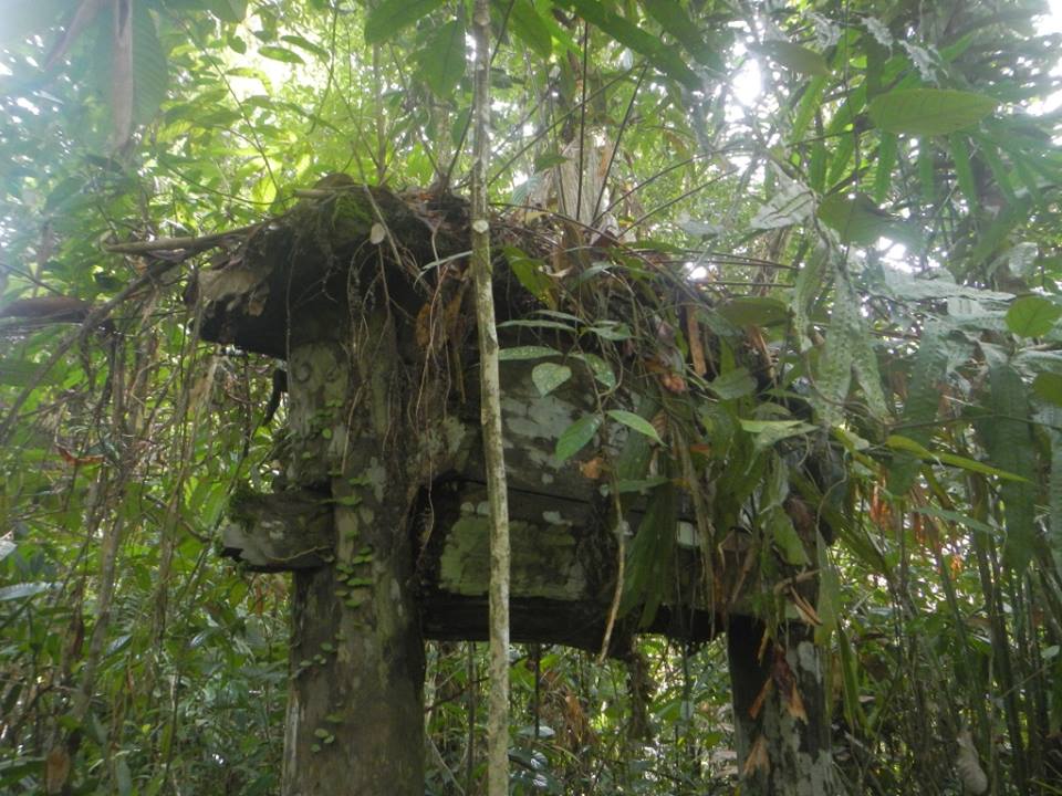 Sandung / Sanuk (Tempat Menyimpan Tulang Belulang Manusia) Dayak ...