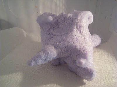 Microwave Soap Science Experiment - Teach Beside Me