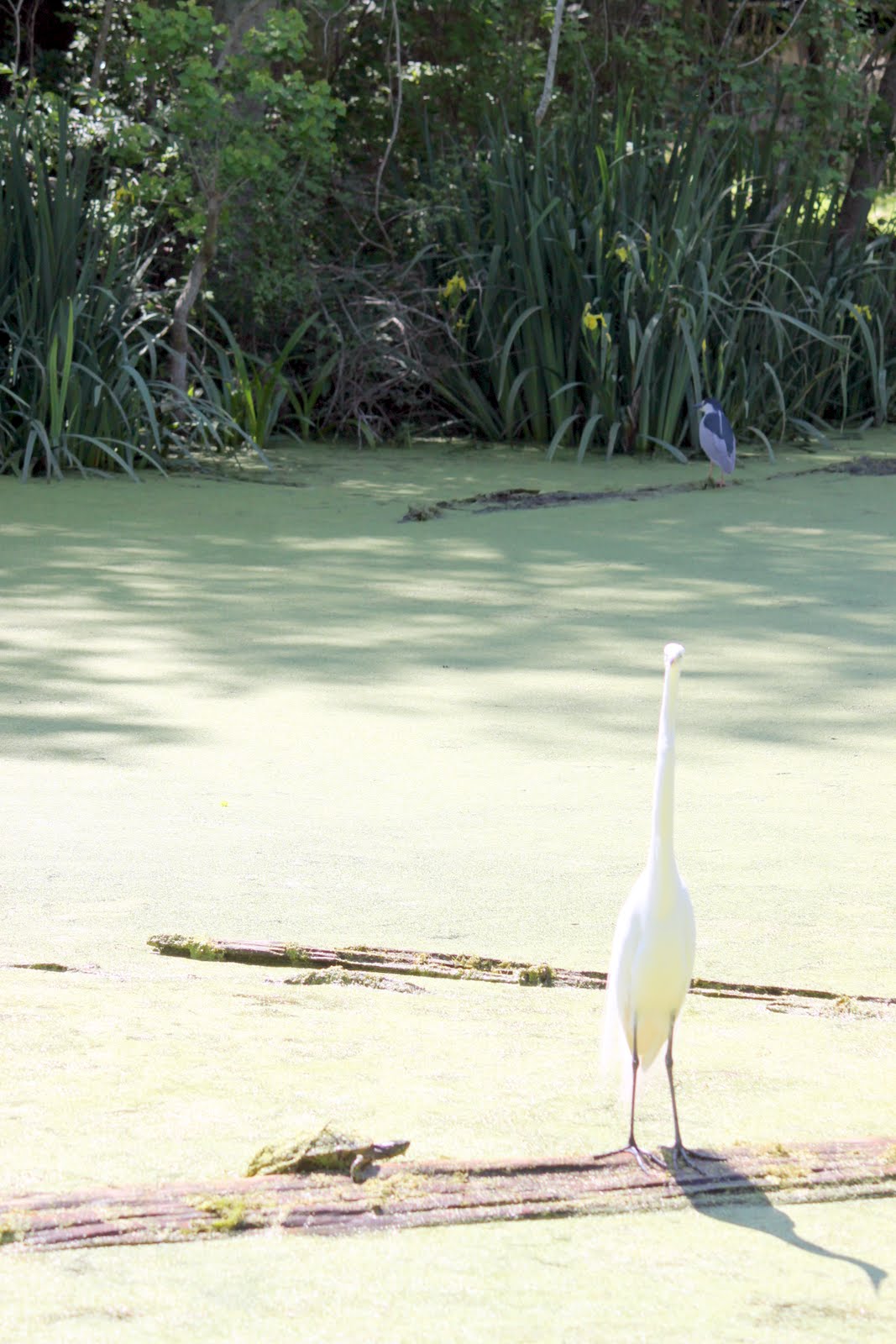 The Robertson Family: New Orleans Zoo