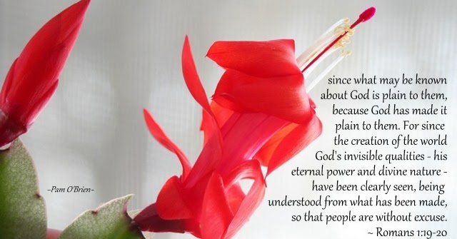 Thankful Expressions: Romans 1:19-20