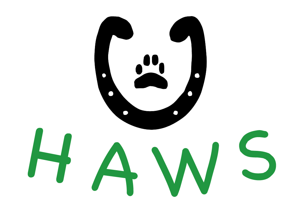 Lessons Learnt: May 2011