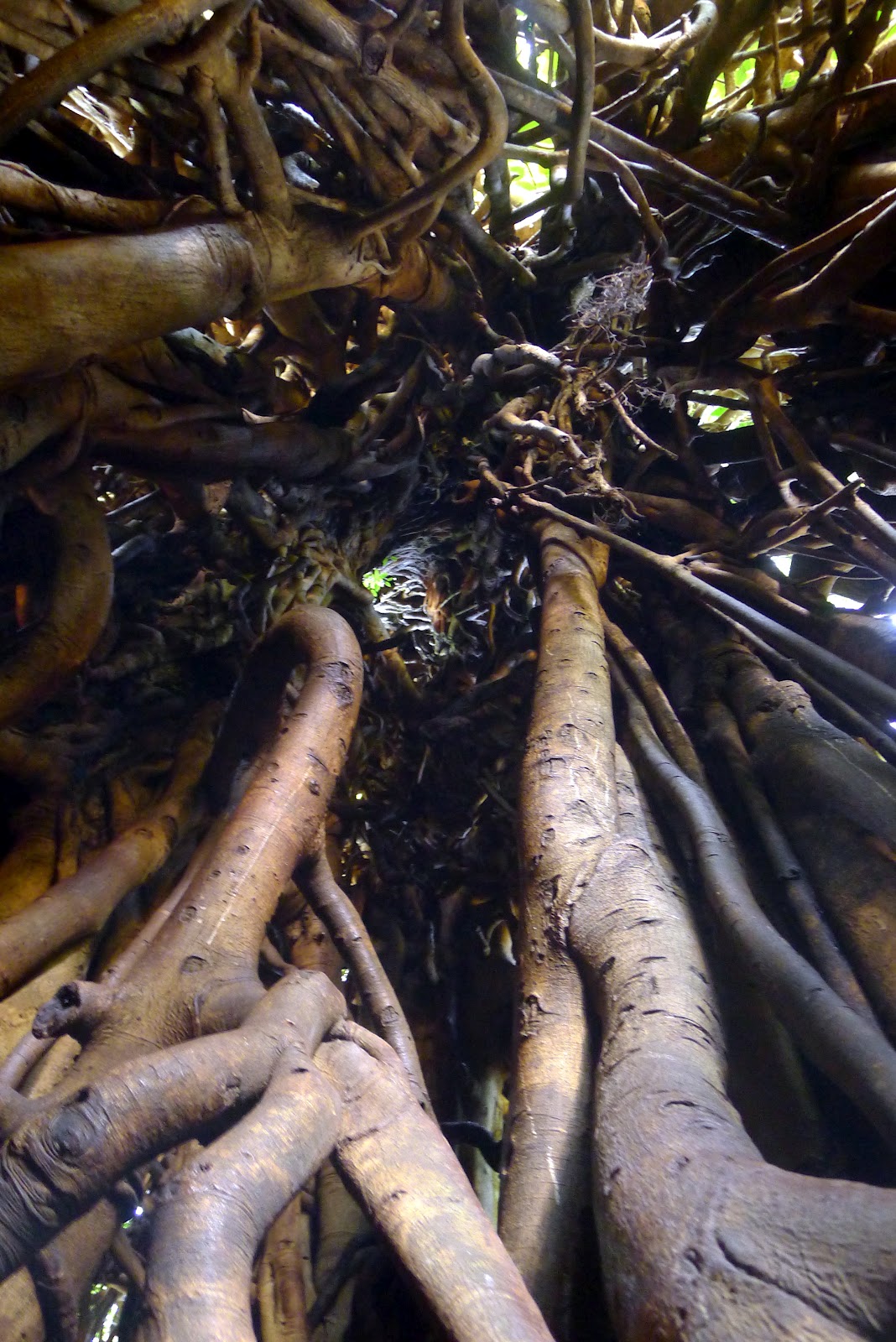 my greatest opponent: Baler, Aurora Itinerary