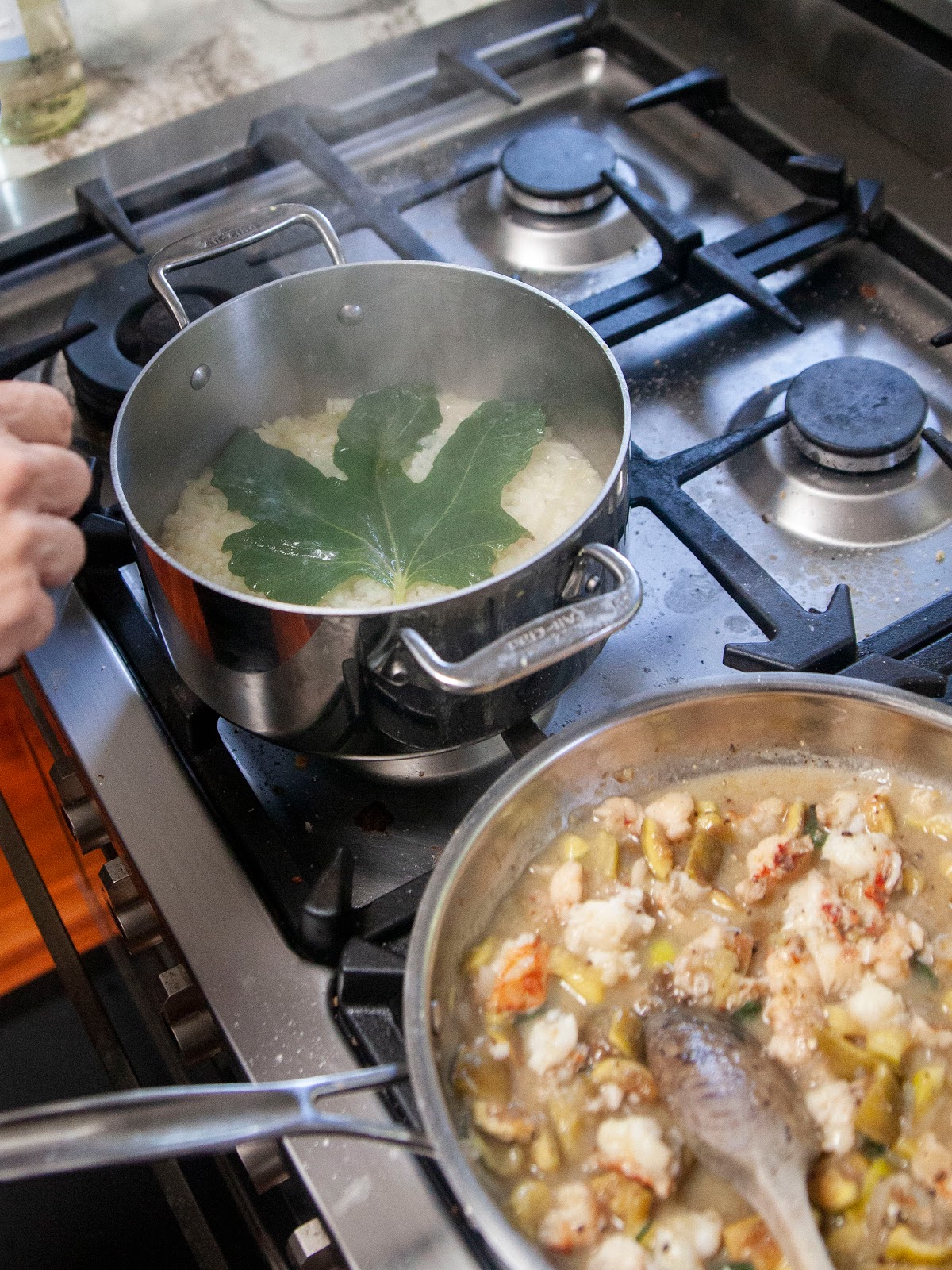The Colors Of Indian Cooking: It's Fig Season In Sonoma. Time for Fig ...