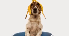 Everyday Idioms!!!: To get busted