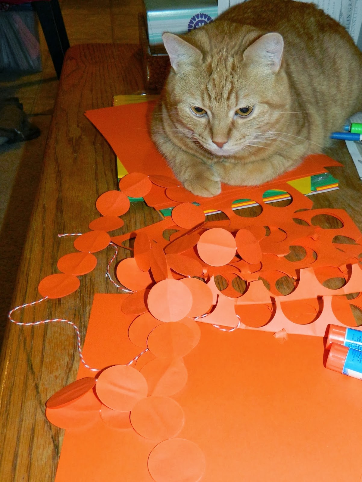 Polka-Dotty Place: DIY Circle Garland