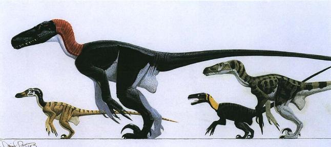 AGATHAUMAS: Il ritorno di David Peters