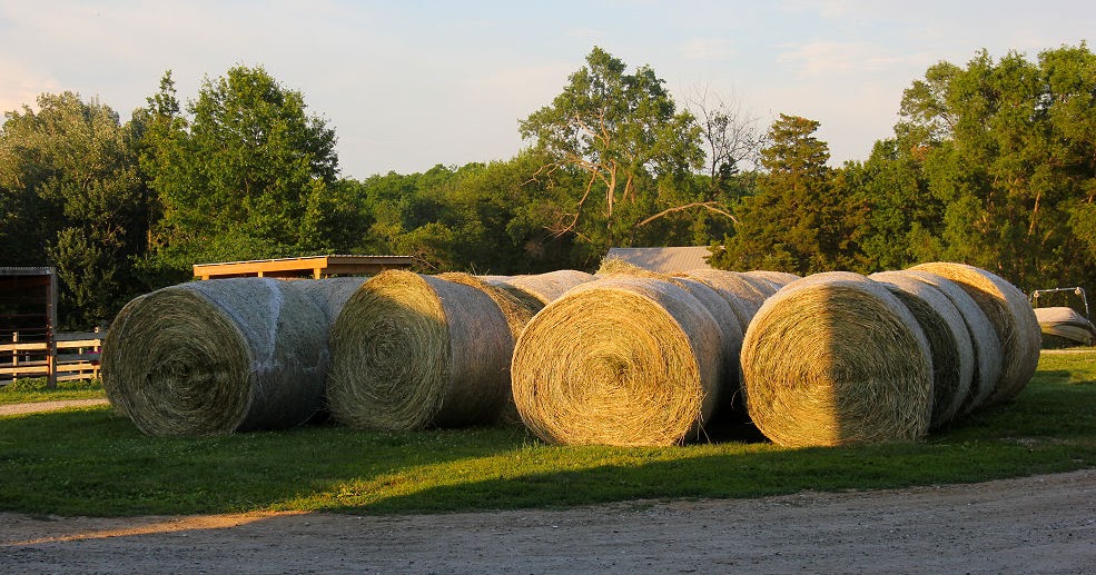 The Horsemeister Blog: Barn FULL of Hay