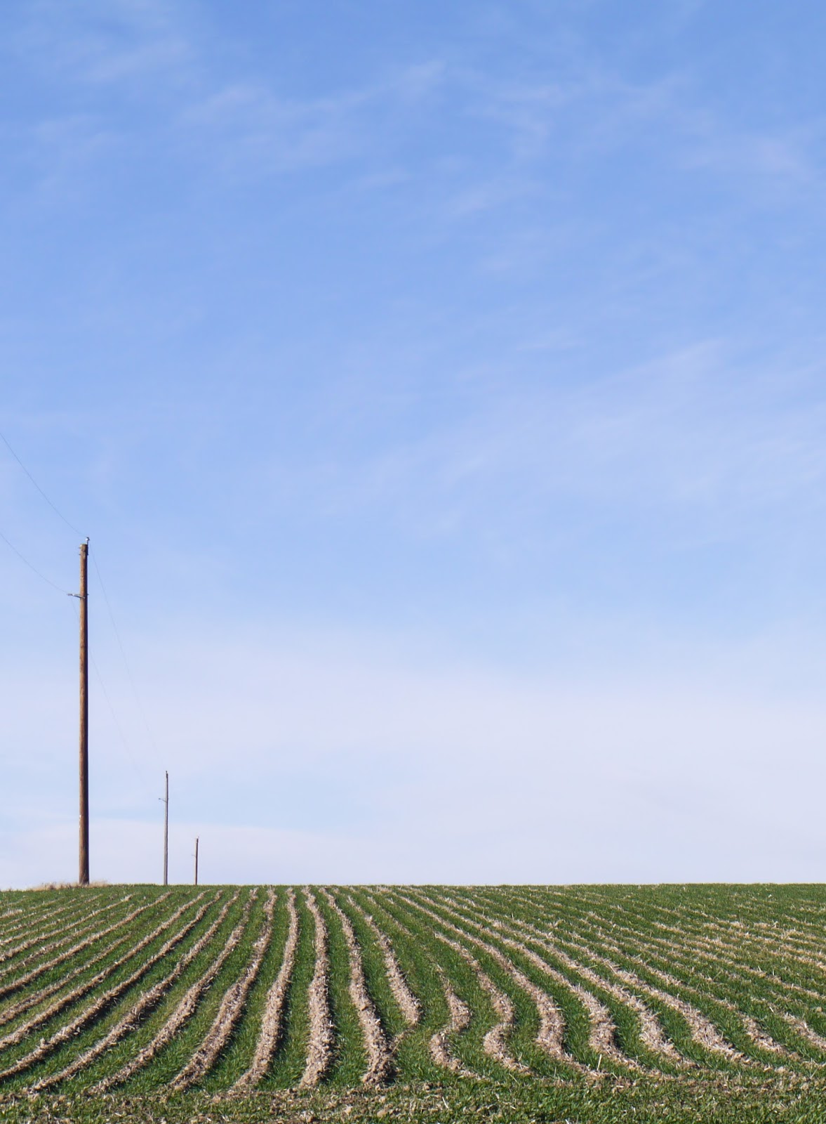 Northwest Ruminations: December 2017