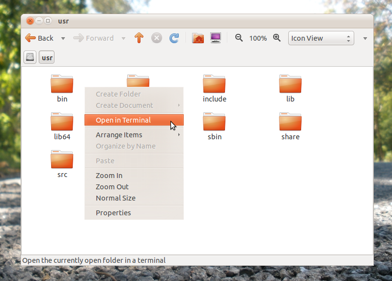 how-to-install-nautilus-open-terminal-plugin-in-ubuntu-11-04-10-10-and-10-04