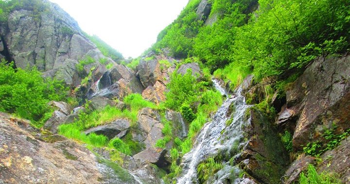 The Terrifying 25: Great Gully Trail