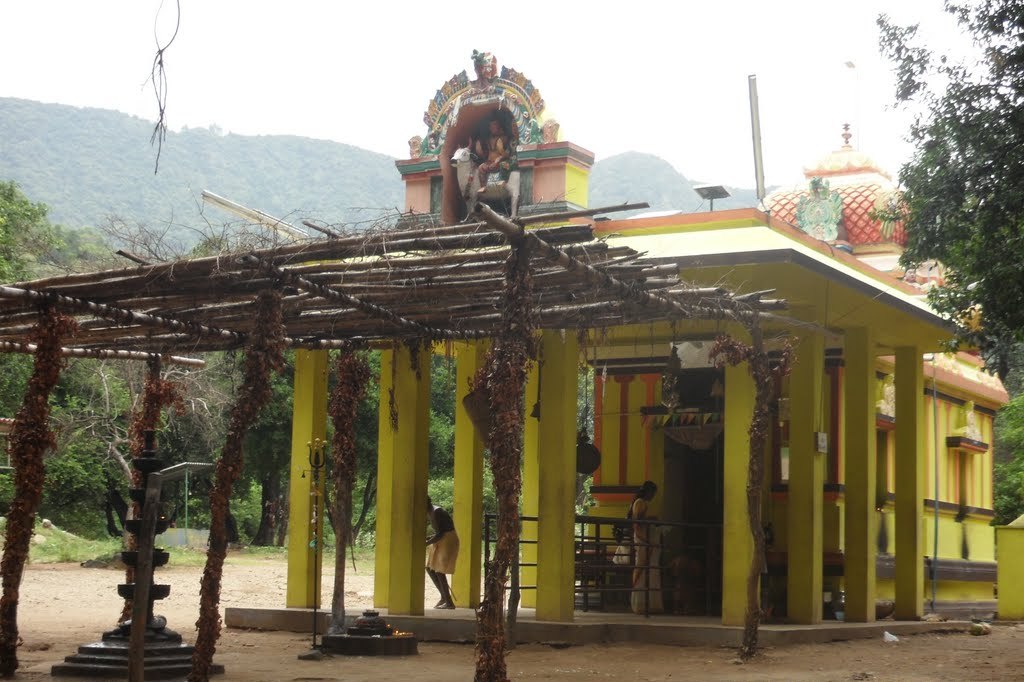 Tamilnadu Tourism: Sathyamangalam Wildlife Sanctuary and Tiger Reserve