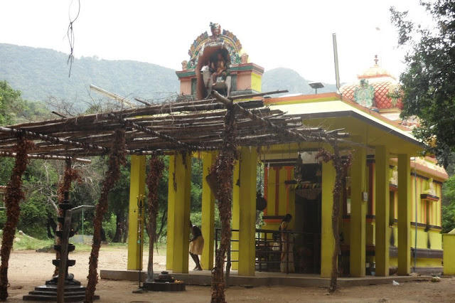 Tamilnadu Tourism: Sathyamangalam Wildlife Sanctuary and Tiger Reserve