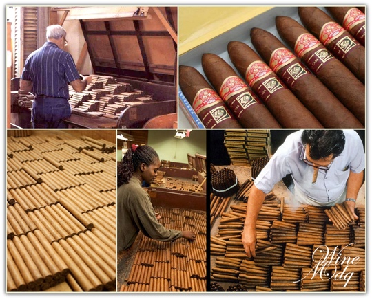 Wine MDQ: Los escogedores de habanos y sus colores