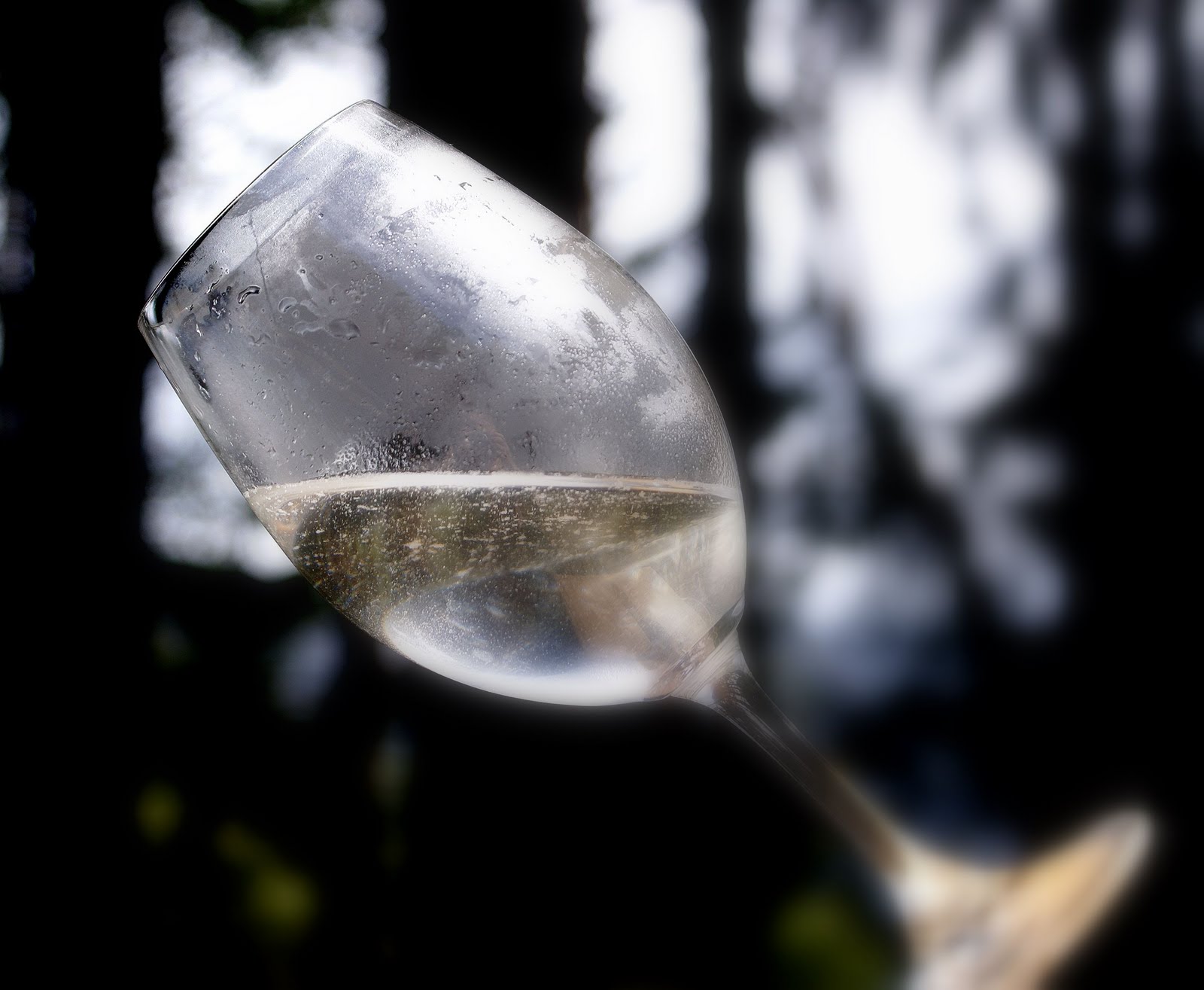 Wilf's Wine Press: Is That Isinglass in my Wineglass??