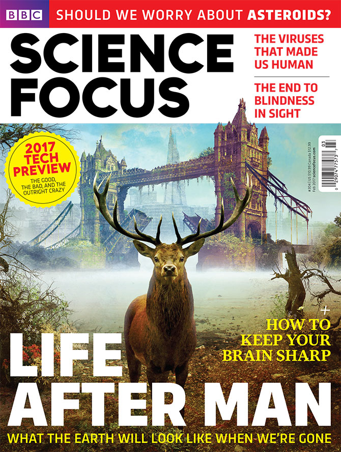 Pottsblog: Life After Man