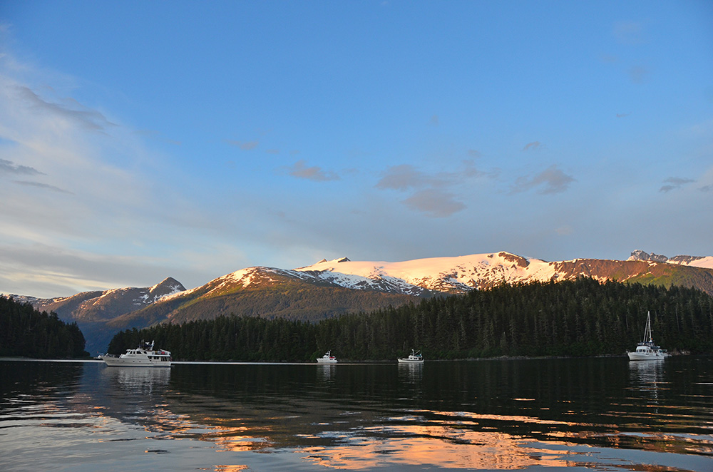 Safe Harbour: Alaska 2016 | Day 32 | Pybus Bay (Cannery Cove) to Tracy ...