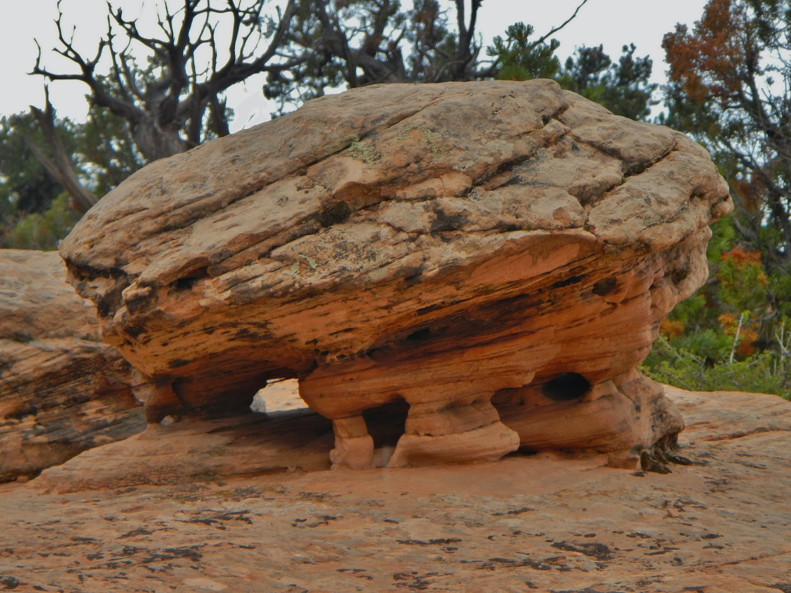 The Southwest Through Wide Brown Eyes: Islands in the Sky - Part One