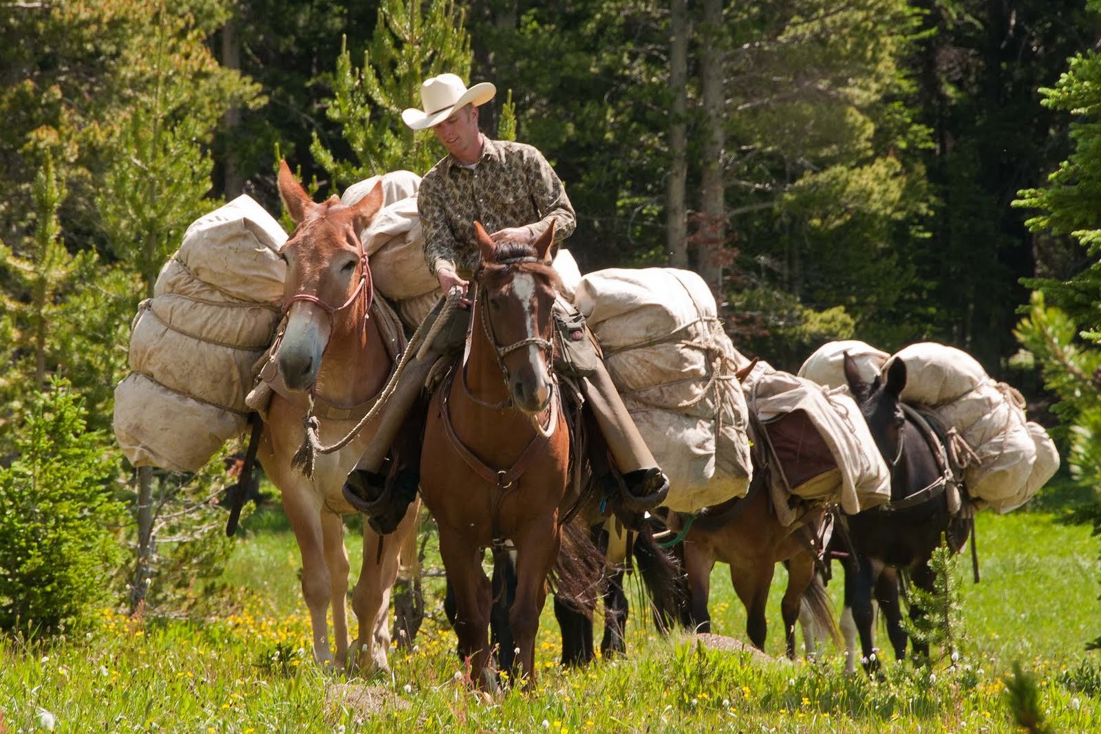 A Funny Thing Happened on the Way to the Photo: Mountain Man Scramble