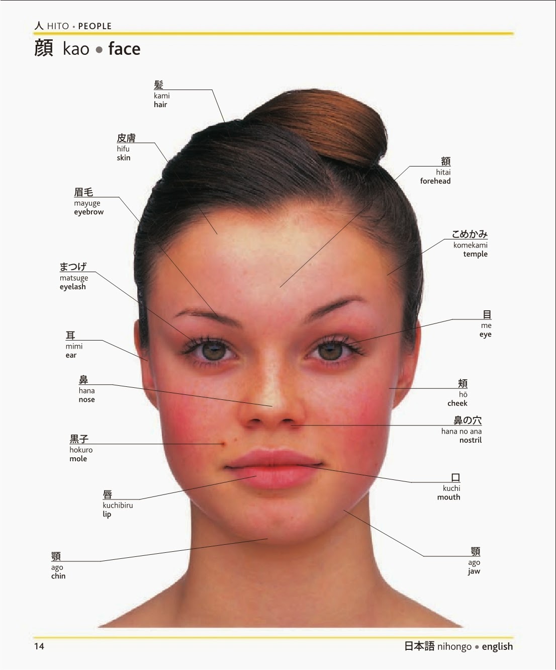 人 hito People - Japanese For Beginners