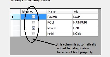 Adding CheckBox Column in DataGridView in C# Window Forms