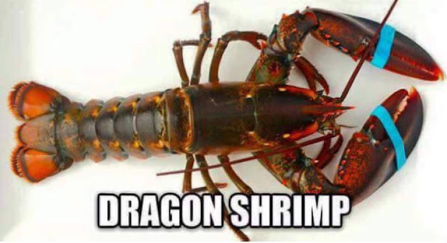 Gospel Messenger: Dragon Shrimp