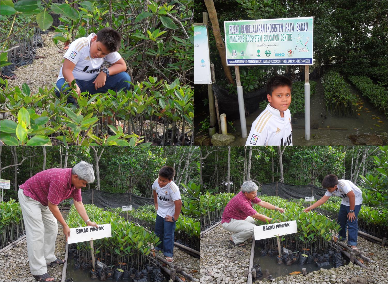 Dr Mat: Conservation through continuous environmental education programmes